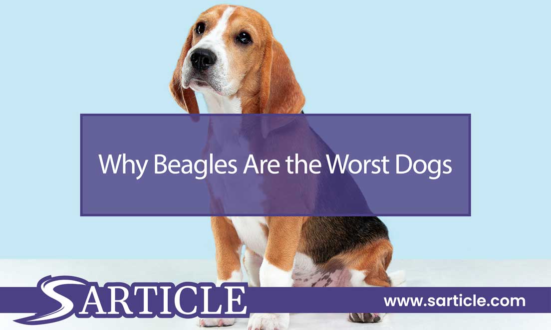 Why Beagles Are the Worst Dogs? Unveiling the Hidden Truth!