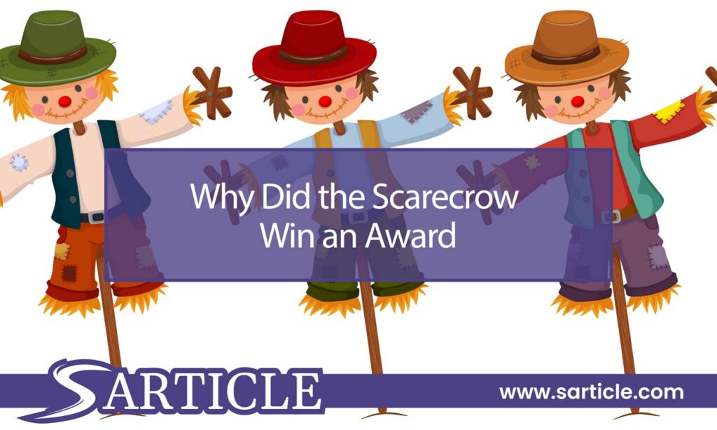 Why Did the Scarecrow Win an Award - Sarticle