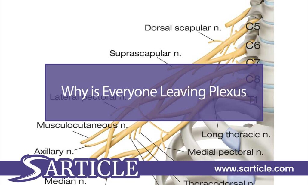 Why is Everyone Leaving Plexus: The Reasons and Alternatives